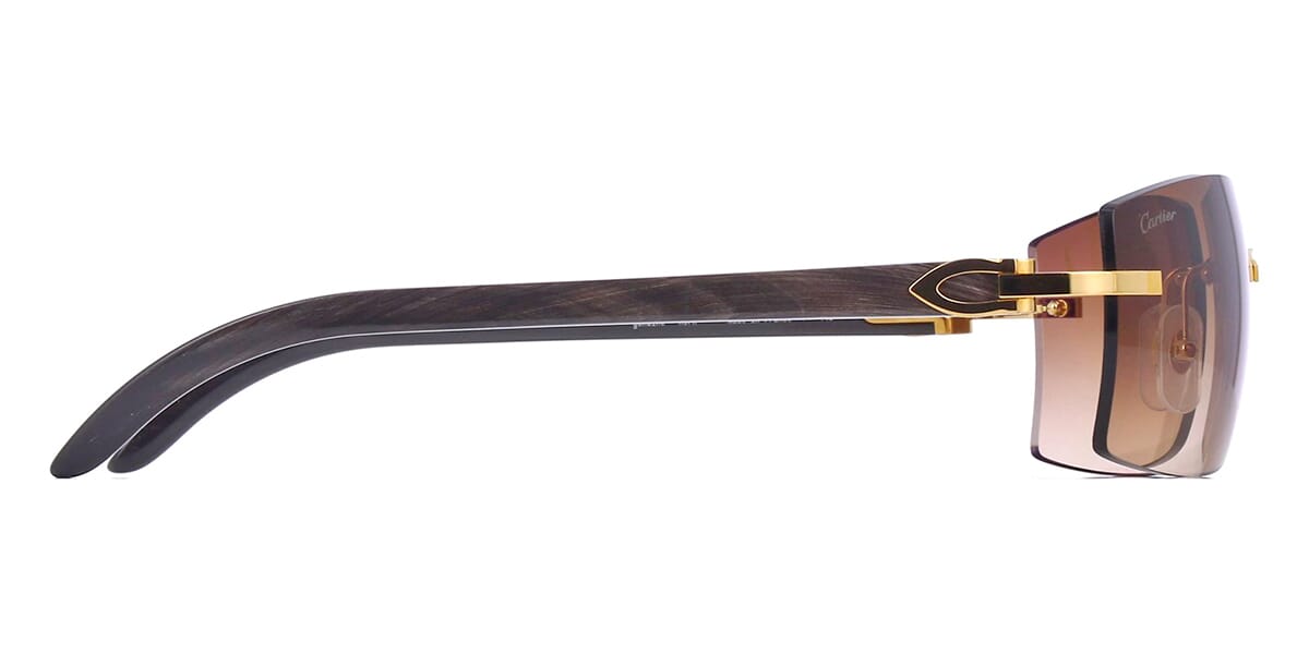 Cartier Buffalo Horn CT0021RS 001 2JT Sunglasses
