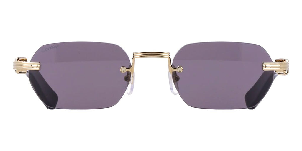 Cartier Buffalo Horn CT0362S 001 3J1 Sunglasses