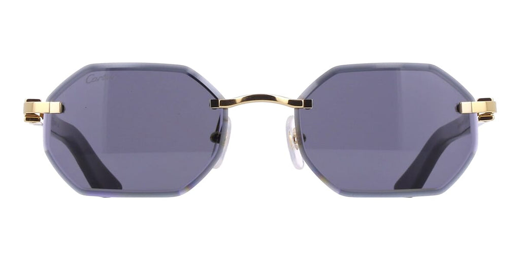 Cartier Buffalo Horn CT0439S 001 4K7 Sunglasses