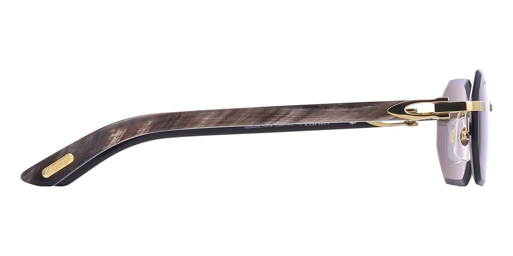 Cartier Buffalo Horn CT0439S 001 4K7 Sunglasses