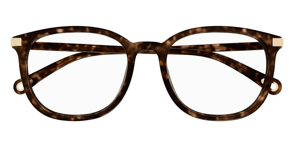 Chloe CH0247OA 002 Glasses