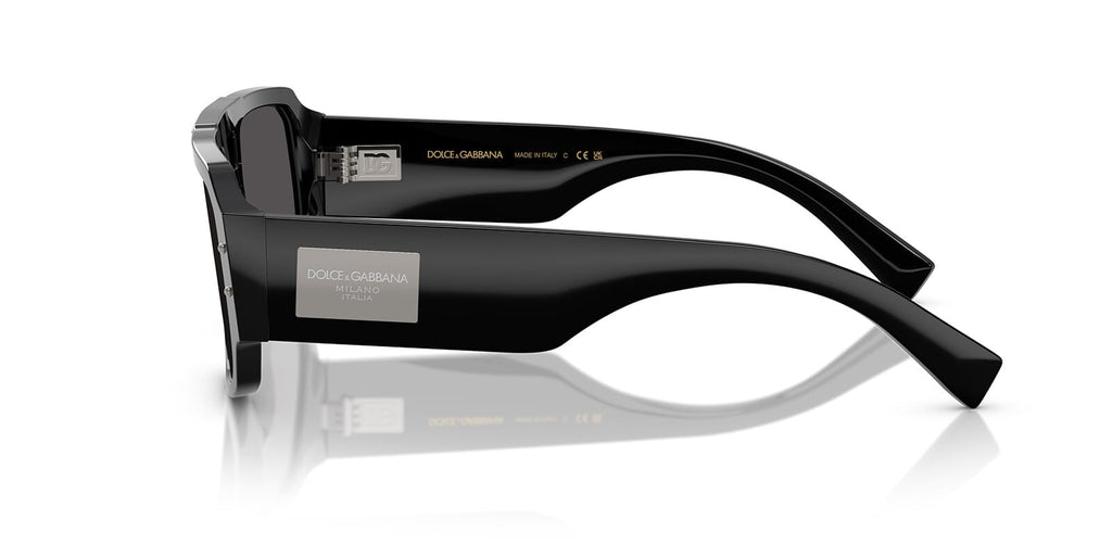 Dolce&Gabbana DG4482 501/87 Sunglasses