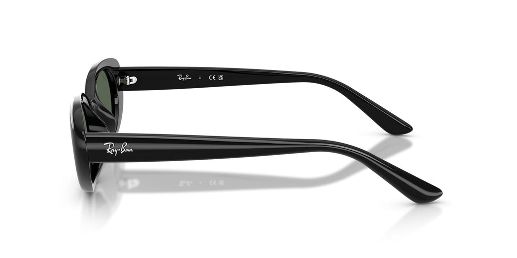 Ray-Ban RB 4441D 6677/71 Sunglasses