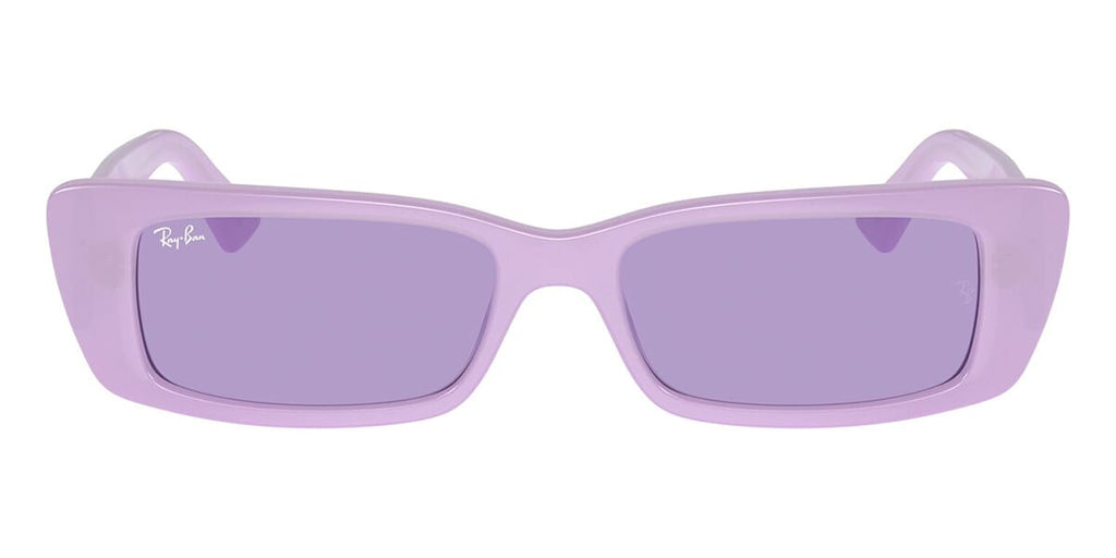 Ray-Ban Teru RB 4425 6758/1A Sunglasses