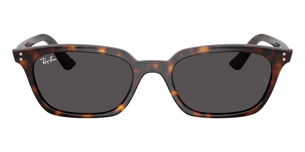 Ray-Ban Zaya RB 4456 1359/87 Sunglasses