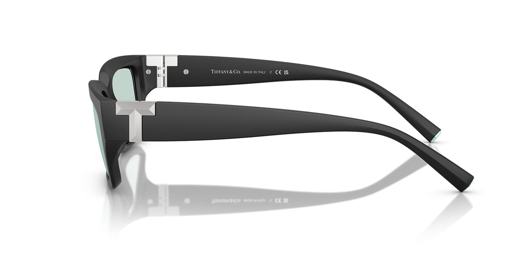 Tiffany & Co TF4226U 8425/D9 Sunglasses