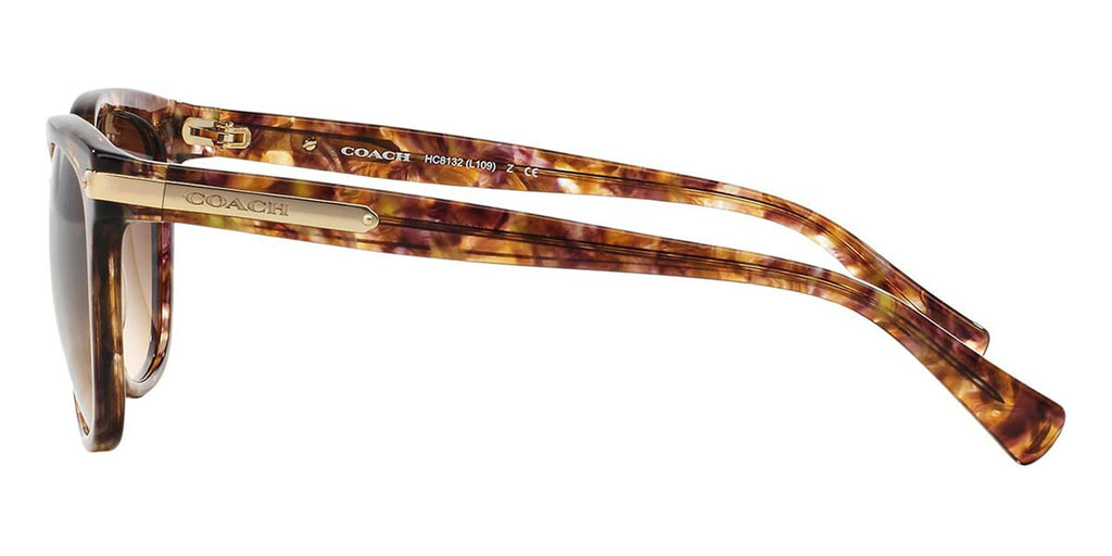 Coach L109 HC8132 5287/13 Sunglasses