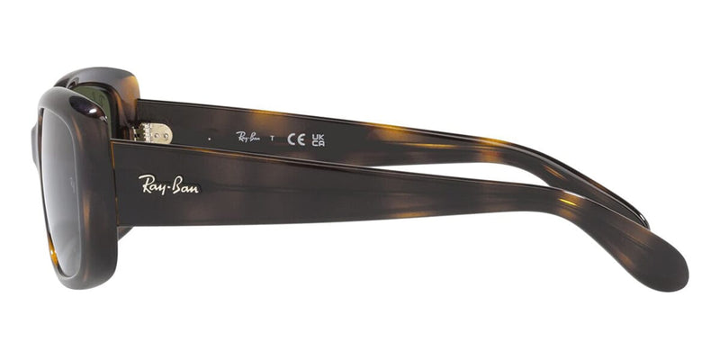 ray-ban-rb-4389-71031-hd-3_800x.jpg?v=1669809460